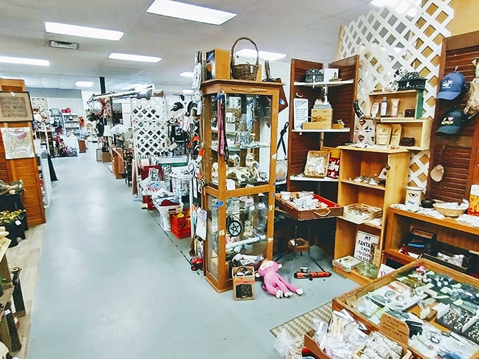 Books, DVDs, and collectibles line the shelves at Miller's Crossing Fleatique—where one person's forgotten treasures become another's prized discoveries.