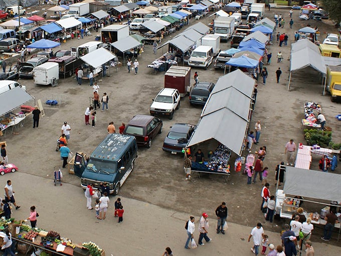 An aerial view reveals the bustling heart of Plant City's market ecosystem—trucks laden with fresh harvests creating a colorful patchwork of agricultural abundance.