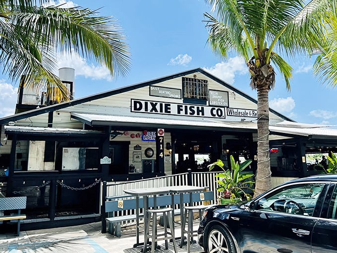 The classic white-and-black exterior of Dixie Fish Co. stands like a siren call to seafood lovers, palm trees swaying in welcome against that perfect Florida sky.