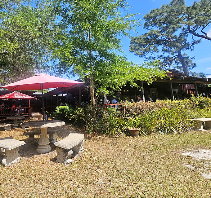 A slice of Old Florida heaven awaits under towering pines, where the red barn-like exterior and sprawling lawn invite you to slow down before your first bite.