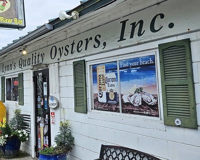 The unassuming white exterior of Lynn's Quality Oysters proves once again that Florida's best seafood treasures often hide in plain sight.