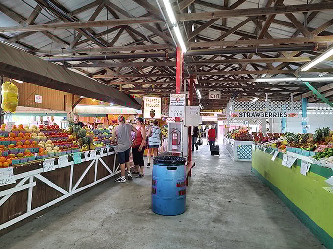 The indoor section's endless rows of merchandise create a treasure hunter's paradise where one person's "I don't need that" becomes another's "I've been looking everywhere for this!"
