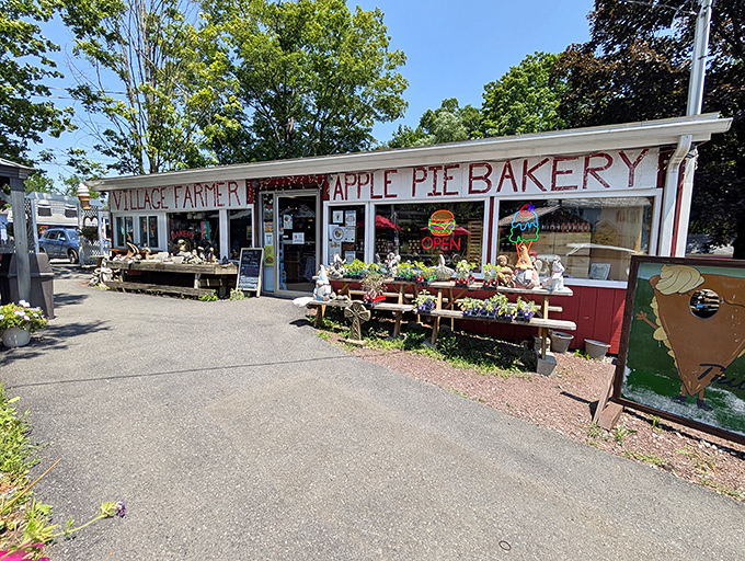 The unassuming exterior of Village Farmer and Bakery stands like a delicious mirage in Delaware Water Gap, promising homemade treasures that chain restaurants can only dream about.
