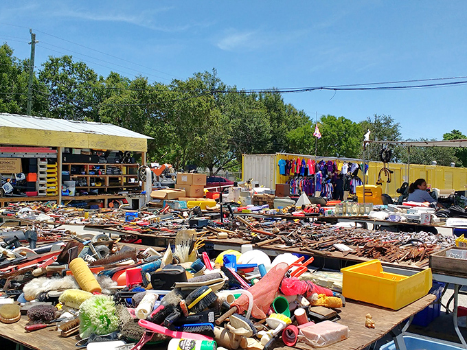 Treasure hunter's paradise! Tables overflow with everyday artifacts and peculiar finds, where one person's discarded flamingo figurine becomes another's prized possession.