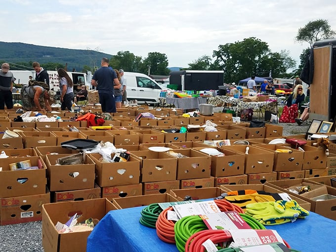 Step into the vibrant chaos where every box holds the promise of a hidden gem. It’s a treasure hunt where one person’s “junk” becomes another’s treasure.