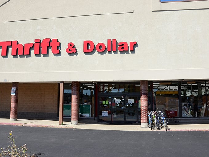 The unassuming storefront belies the wonderland within – like finding Narnia in a strip mall, but with more vintage lamps and fewer talking lions.