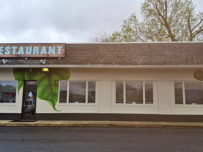 The unassuming green exterior of The Backyard in Milton might fool you, but locals know this modest building houses culinary treasures worth discovering.
