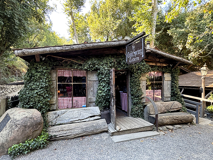 This ivy-covered log cabin looks like something straight out of a fairy tale, minus the wicked witch.