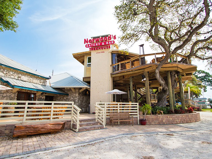 Where childhood dreams meet adult appetites! Norwood's treehouse structure rises majestically among ancient oaks, promising elevated dining in more ways than one.