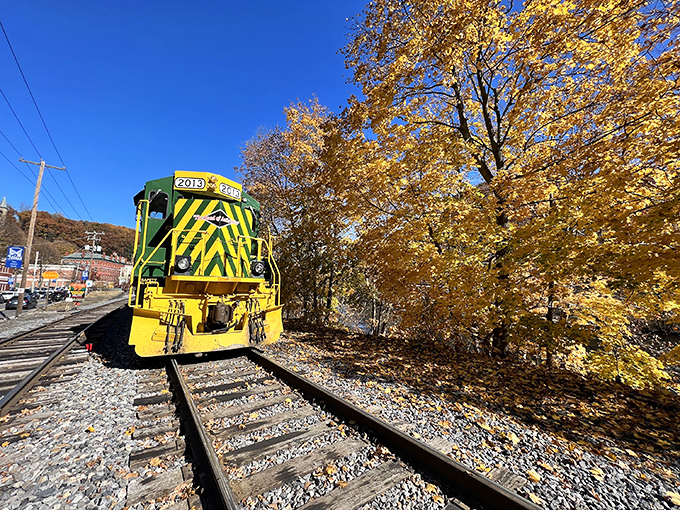 The bright yellow and green locomotive stands like a cheerful sentinel against autumn's golden canvas, promising adventures that smartphones simply can't capture.