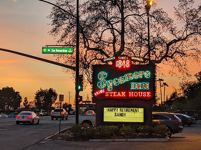 The historic Sycamore Inn welcomes you with rustic charm, its namesake tree standing guard like a leafy maître d' who's seen it all.