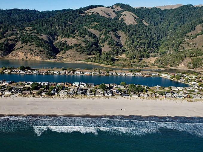 Stinson Beach stretches out like nature's welcome mat, where the Pacific meets pristine sand in a display that makes even smartphone photographers feel like Ansel Adams.