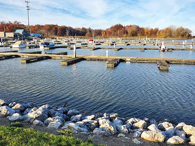 Lake Erie stretches out like nature's infinity pool, with that impossible blue meeting the sky. Paradise isn't always tropical—sometimes it's right in northeastern Ohio.