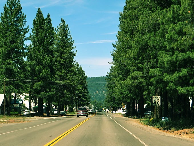Chester's main drag welcomes you with towering pines standing like nature's honor guard. Small-town charm with big-time scenery – California's best-kept secret.