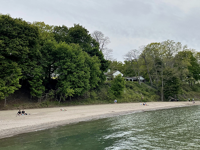 Where forest meets shoreline, Huntington Beach offers that rare Ohio coastal magic—no passport or ocean required.