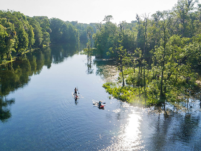 Paddleboarding through Silver Springs feels like gliding across nature's mirror – where the sky meets water and time slows to the perfect vacation pace.