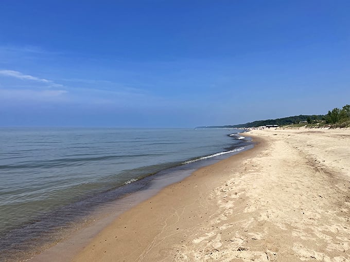 The Great Lakes' answer to the Caribbean – where Michigan's towering dunes meet Lake Michigan's impossibly blue waters in a landscape that defies Midwestern expectations.