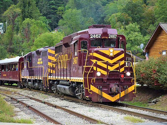 The depot welcomes you like an old friend, promising adventures that unfold at a civilized pace.