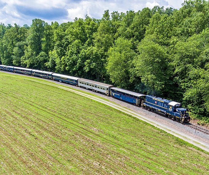 All aboard for memories! Against a backdrop of lush forest and open fields, this scenic Georgia ride invites timeless adventure. 