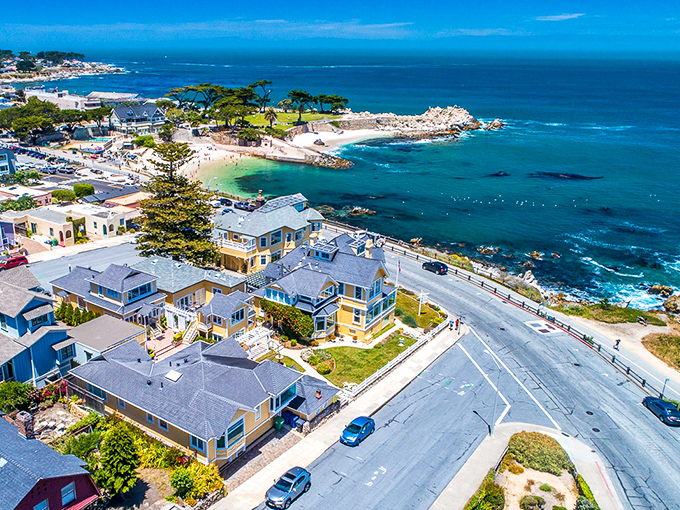 Pacific Grove's coastline unfolds like nature's IMAX theater—complete with better snacks and no overpriced tickets.