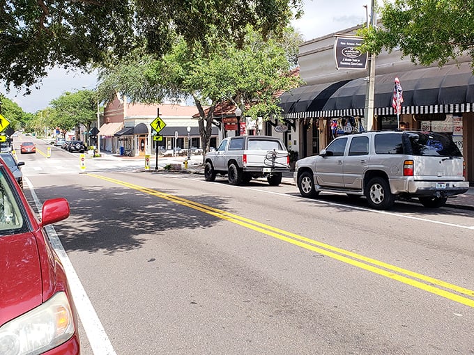 Charming storefronts line Tarpon Springs' downtown, where shade trees and brick-paved sidewalks invite leisurely exploration. Small-town Florida at its most inviting.