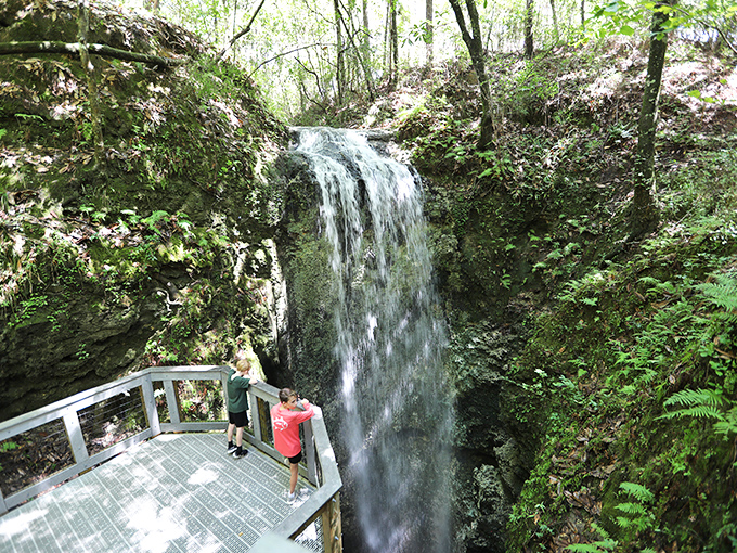 Nature's magic show in full swing – Florida's tallest waterfall cascades 73 feet into a mysterious limestone sinkhole, disappearing like a magician's best trick.