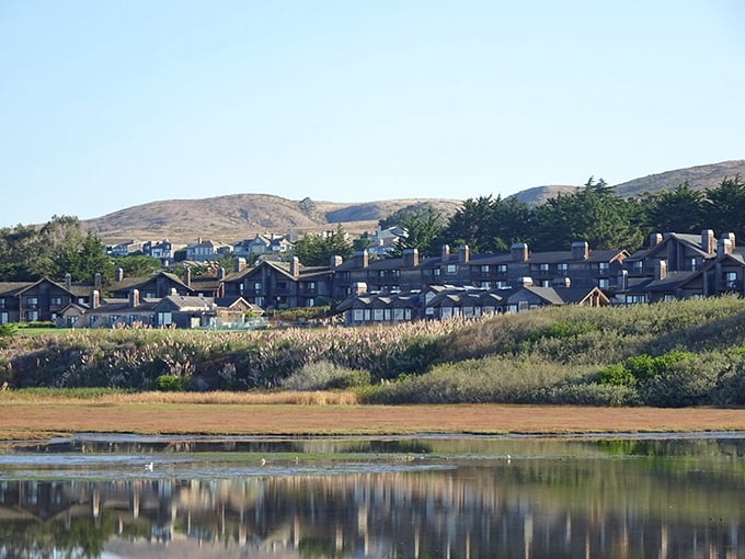 Stone cottages with ocean views that would make even the most dedicated city dweller contemplate a dramatic career change involving fishing nets and sourdough bread.