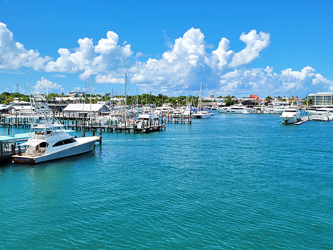 Harbor life in Key West hits different—gleaming yachts, that iconic red building, and water so impossibly turquoise it looks Photoshopped by Mother Nature herself.