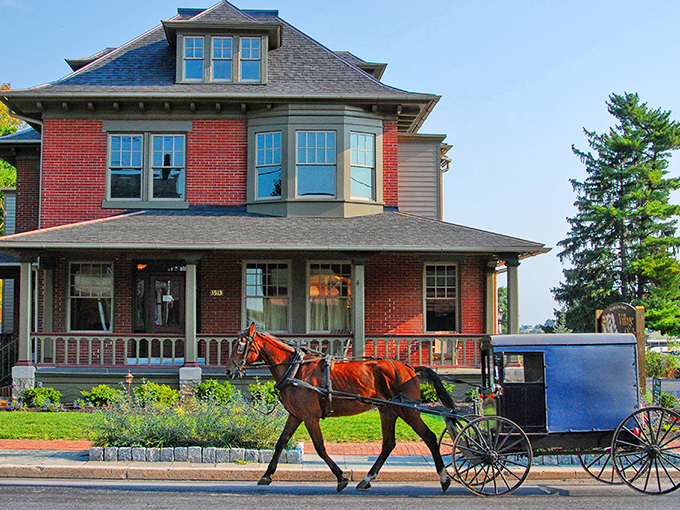 Horse-drawn buggies sharing the road with modern traffic - it's like watching history and today shake hands.