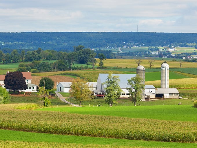 Amish country unfolds like a patchwork quilt—fields of gold, green, and amber stretching toward rolling hills, with classic white barns standing sentinel under impossibly blue skies.