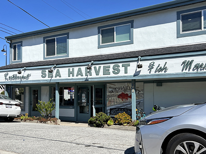The unassuming exterior of Sea Harvest belies the oceanic treasures within. Like finding a pearl in an oyster, this Monterey gem awaits seafood lovers on aptly named Foam Street.