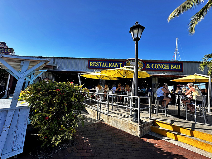 The ultimate Florida Keys welcome sign: sun-drenched outdoor seating with that unmistakable "you're on vacation now" vibe.