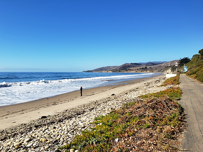 Escape the crowds at El Capitán State Beach—this hidden California gem offers peaceful shoreline strolls and stunning coastal views all to yourself.