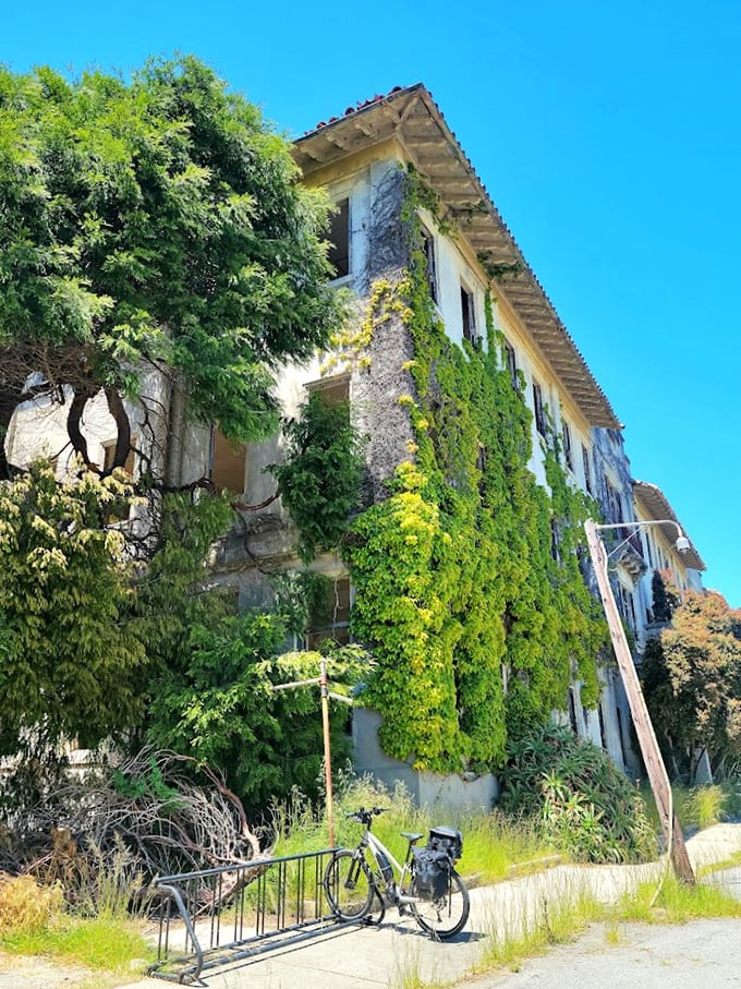 When buildings and nature collaborate on a masterpiece—ivy-covered walls tell stories of decades past while cyclists pause in appreciation.