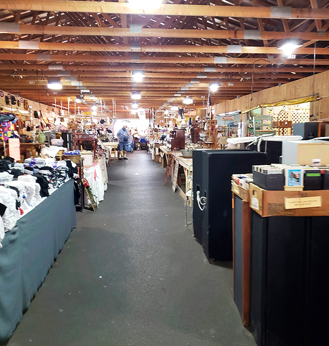 Long aisles stretch under wooden rafters, each booth a mini-museum curated by vendors who know their collections inside and out.