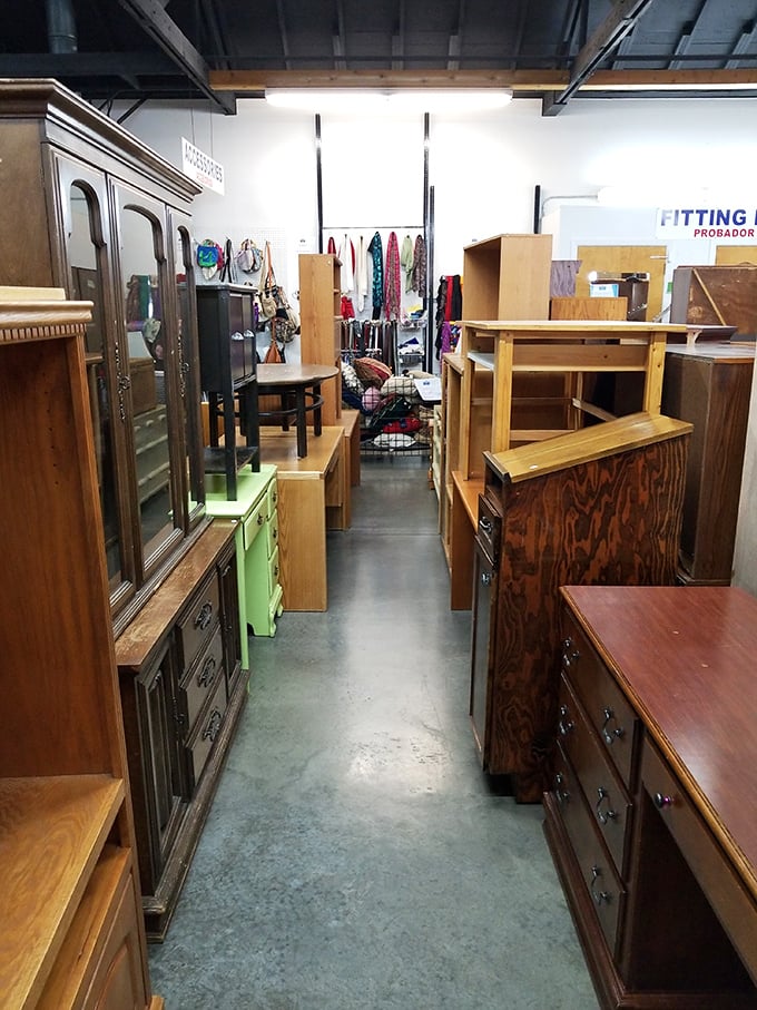Antiques with the patina of history line these shelves—each scratch and dent not a flaw but a chapter in its ongoing biography.