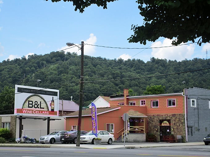 B&L Wine Cellars proves you don't need Napa Valley pretension to enjoy good wine – just a comfortable spot and an open mind.