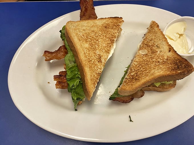 The BLT—sandwich simplicity elevated to art form. Three humble ingredients that, when properly assembled, become greater than their sum.