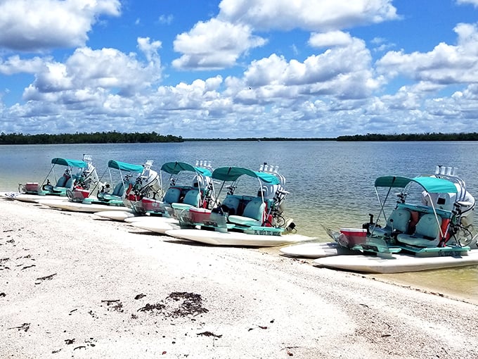 These aqua vessels lined up like patient taxis wait to shuttle adventurers through mangrove tunnels and hidden waterways.