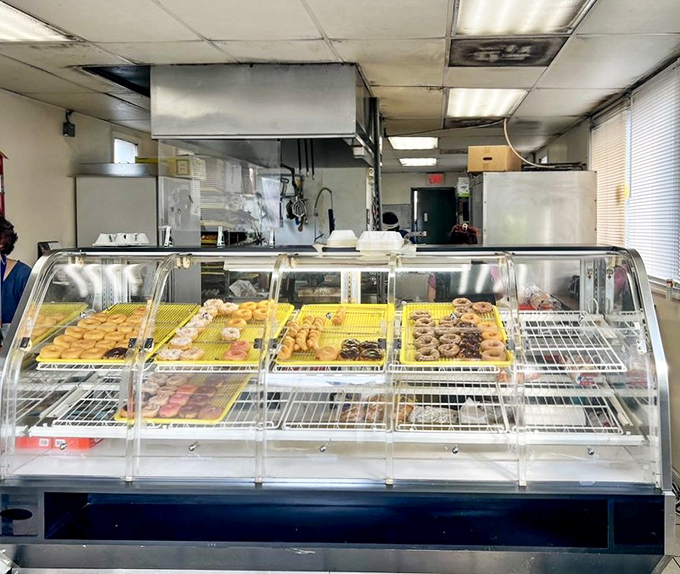 The display case—a museum of fried dough artistry where glazed, chocolate-frosted, and jelly-filled masterpieces await their appreciative audience.