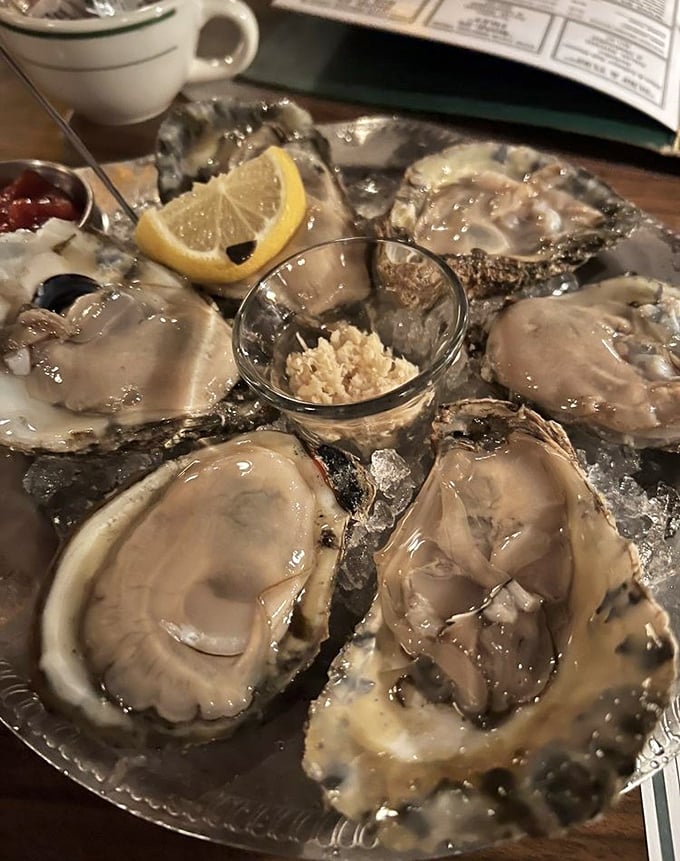 Blue Point oysters on the half shell—nature's perfect appetizer, requiring nothing more than a squeeze of lemon and a moment of appreciation.