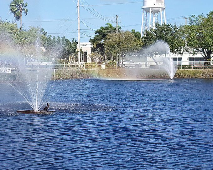 Stuart's fountains dance in the sunlight, with the town's iconic water tower keeping watch in the background – small-town charm with postcard-perfect scenery.