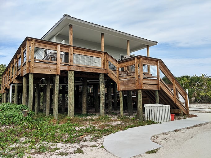 Rustic luxury at its finest – elevated cabins that let you experience nature without becoming its midnight snack. 