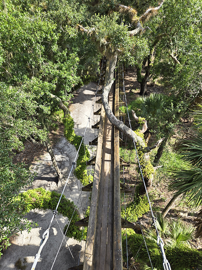 Walking the canopy bridge—where acrophobia meets wonder, and every step feels like you're starring in your own nature documentary.