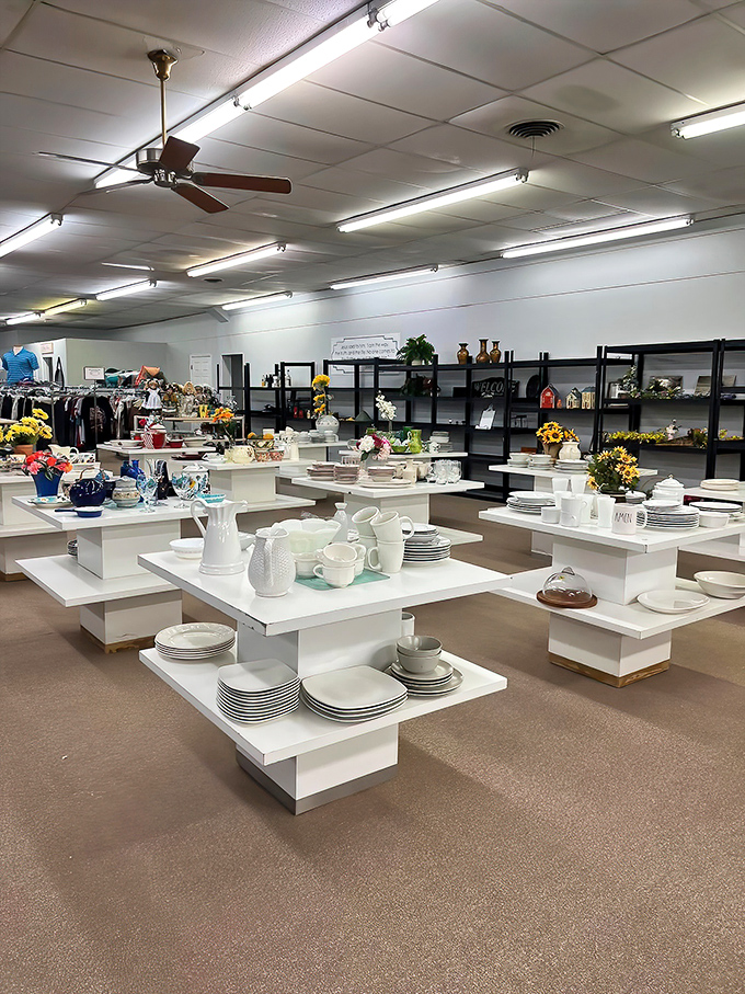 White display tables showcase an impressive collection of dishware—perfect for those who've broken one too many plates or need service for unexpected guests.