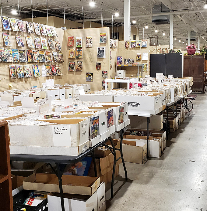 Comic book heaven for collectors—where forgotten superheroes and childhood memories wait patiently in carefully organized boxes for their next adventure.