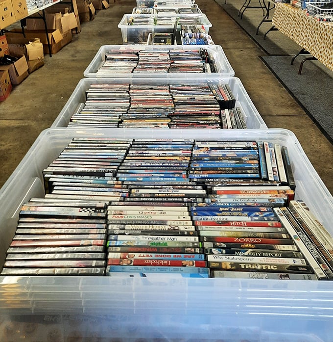 DVD treasure troves where "Zorro" sits beside "Minority Report"—physical media paradise for film buffs who know streaming just isn't the same.