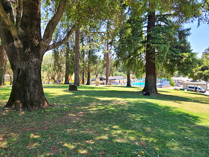 Detert Park offers shady respite under magnificent trees – nature's air conditioning in a town where simple pleasures remain the most satisfying.