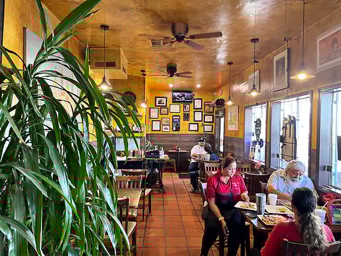Plants frame the dining room where servers move efficiently between tables, delivering plates that will soon silence conversation with first bites.