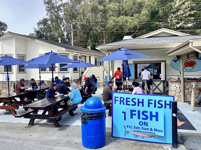 The universal language of good food brings strangers together at communal tables. Notice nobody's looking at their phones – that's seafood magic.